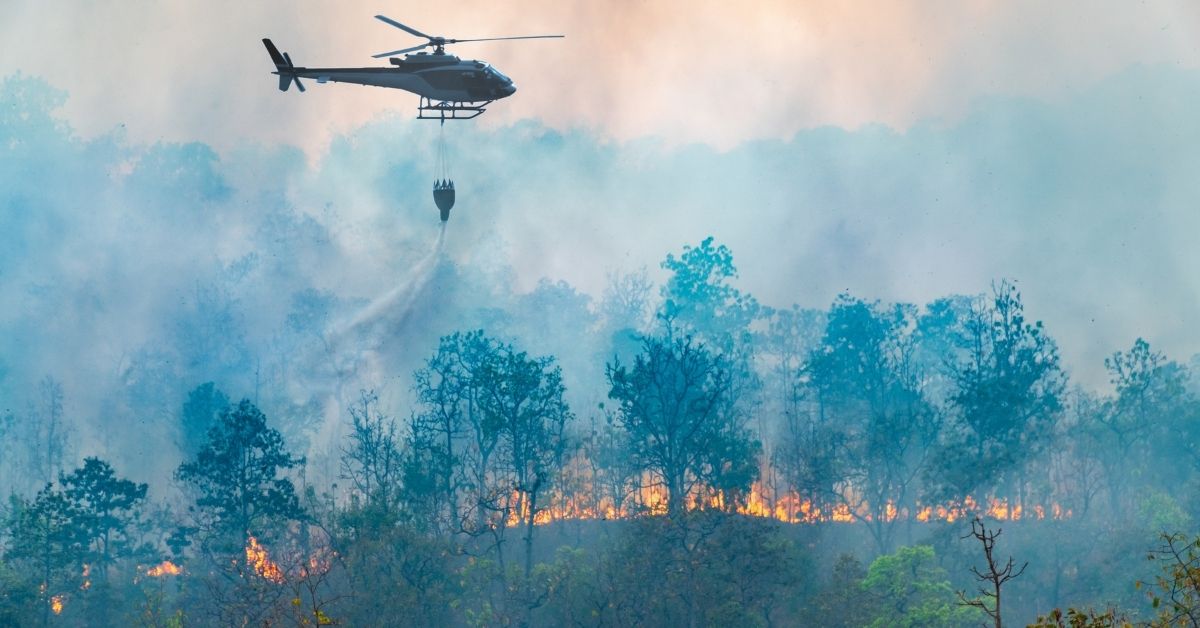 Labor's "state-of-the-art" firefighting fleet grounded before fire season
